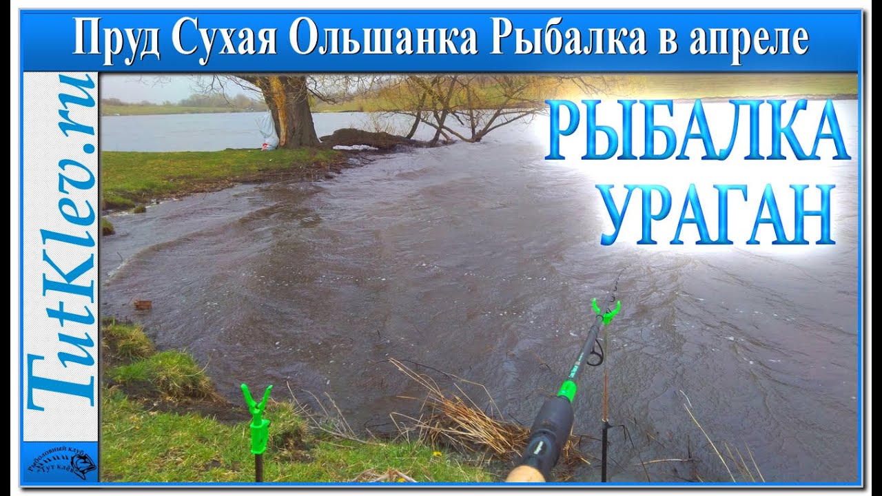Весенняя рыбалка в Ураган. Карповая рыбалка на платнике в апреле.mp4