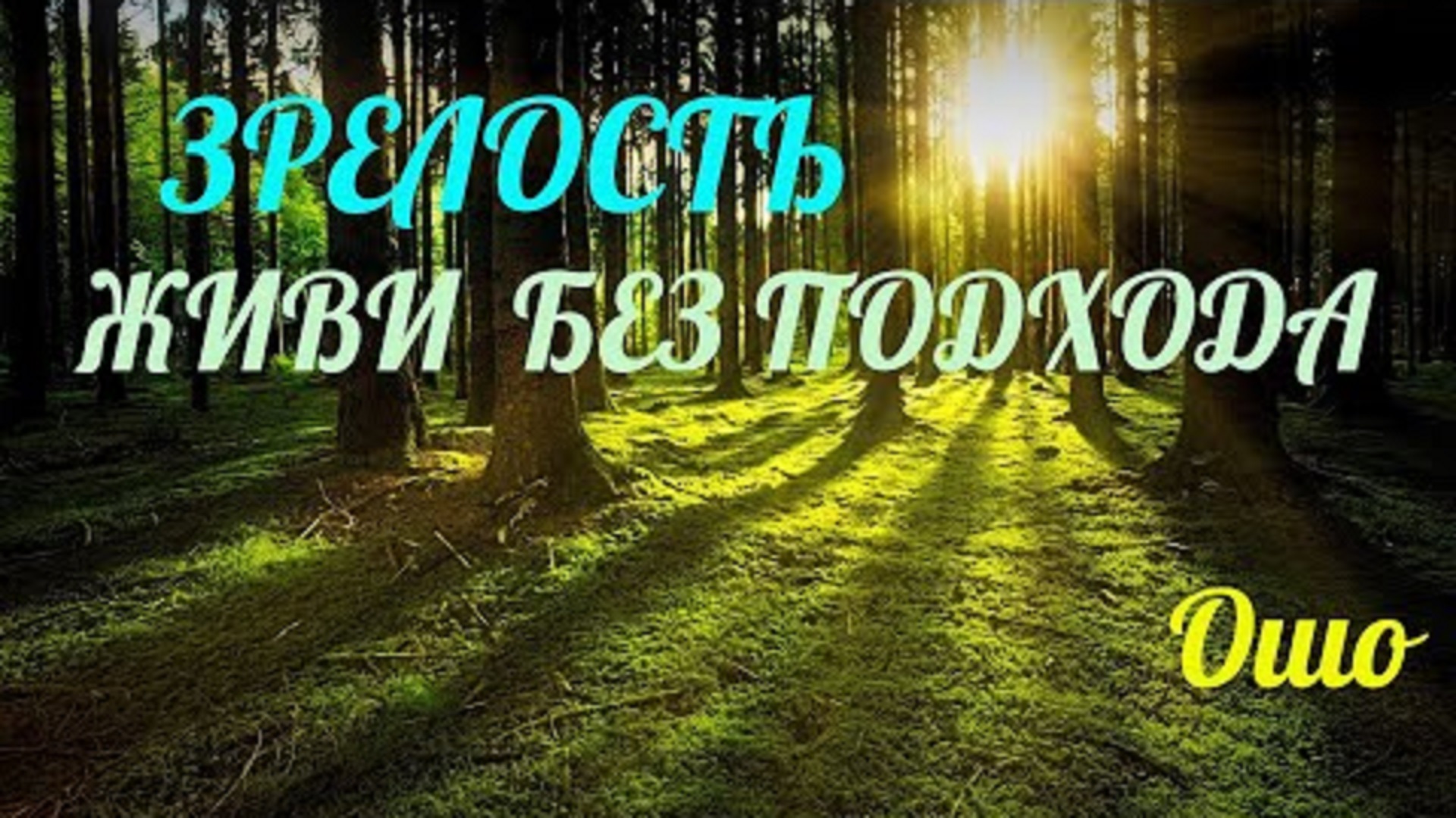 ЗРЕЛОСТЬ. Живи без подхода — Ошо