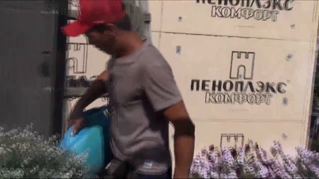 Все видео_Обзор цветов у Витька.mp4