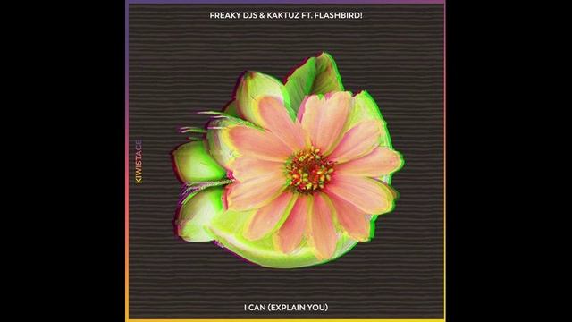 Freaky DJs & KaktuZ ft. Flashbird - I Can
