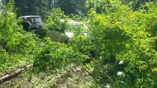 Морозиха 2024