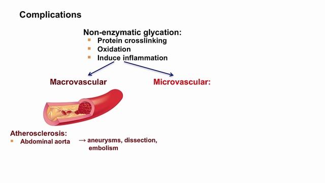 USMLE RX - 3.Эндокринная система - 3.Патология - 7.Сахарный диабет (Diabetes Mellitus)