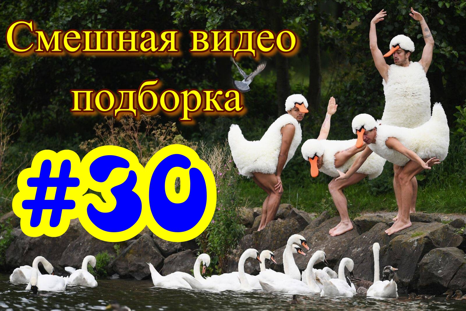 Смешная видео подборка #30