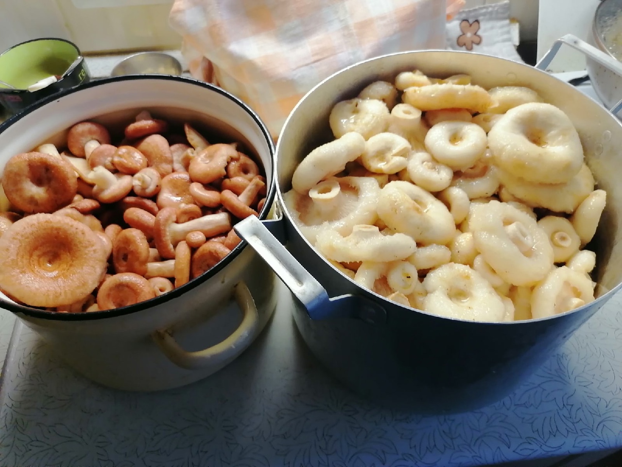 море ГРУЗДЕЙ 10 августа 2021