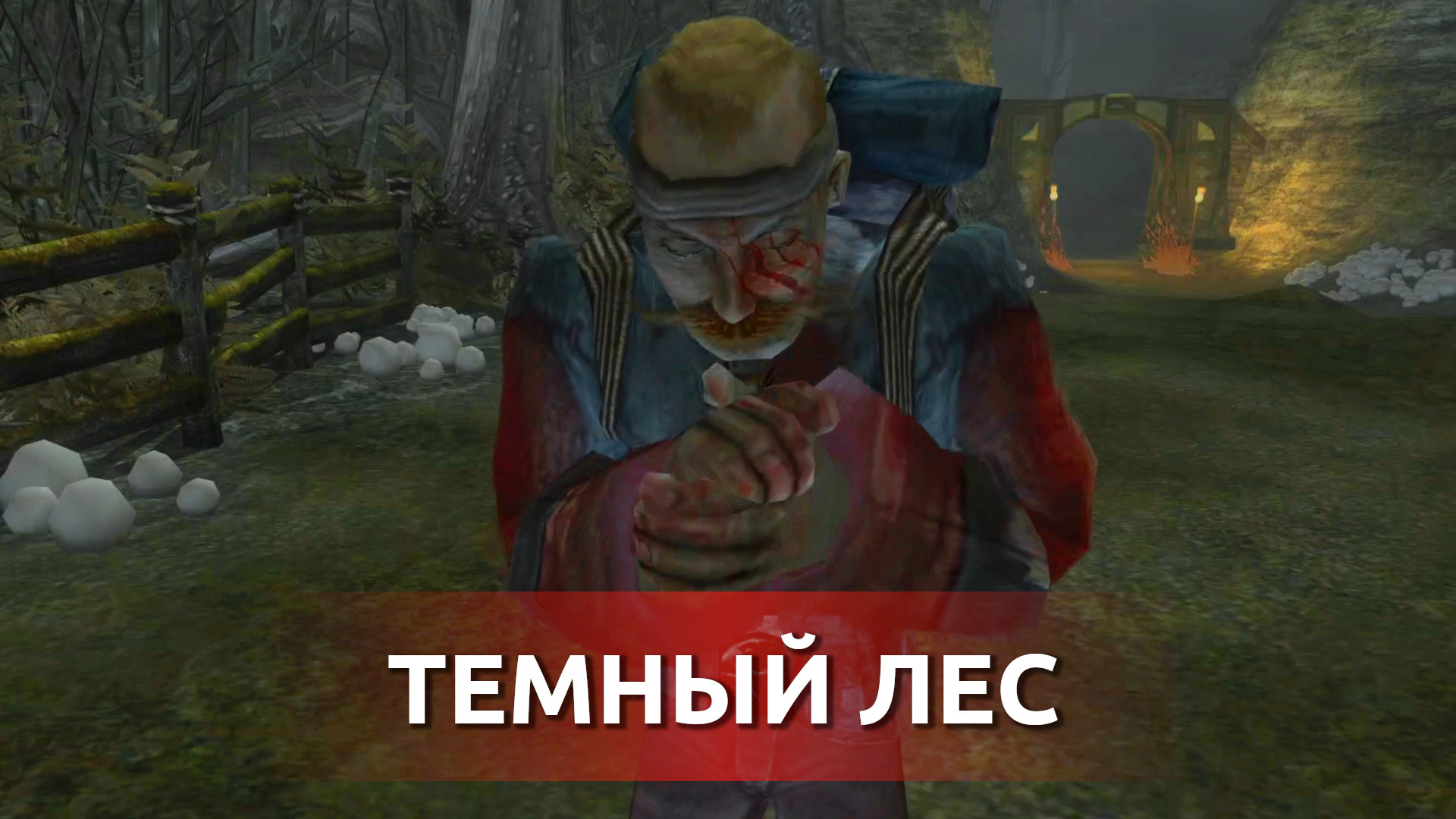 Темный лес | Fable The Lost Chapters | Прохождение #3