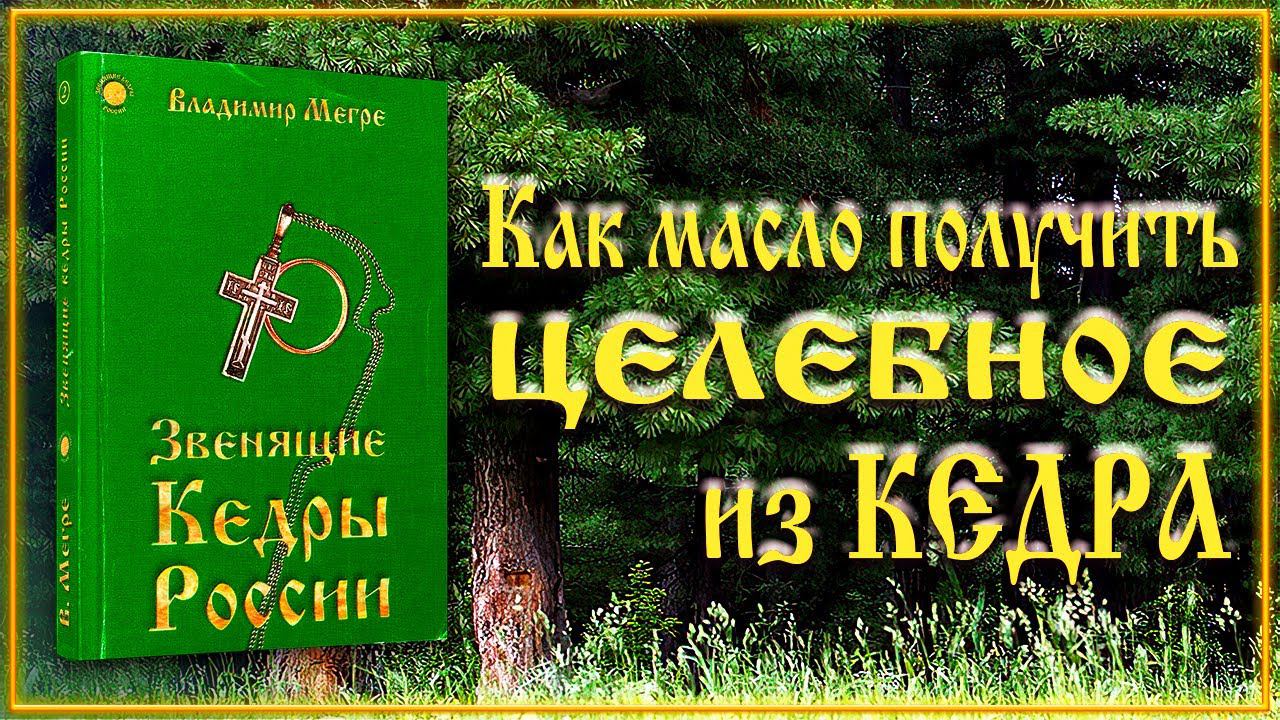 Книга II, глава 29 «КАК МАСЛО ПОЛУЧИТЬ ЦЕЛЕБНОЕ ИЗ КЕДРА»