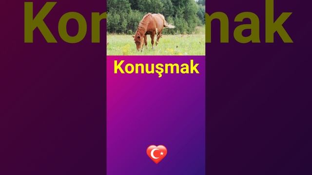 ГОВОРИТЬ ЗАВИДОВАТЬ ПО ТУРЕЦКИ ТУРЕЦКИЙ ЯЗЫК ОНЛАЙН УРОКИ И ГРАММАТИКА ТУРЕЦКОГО ЯЗЫКА