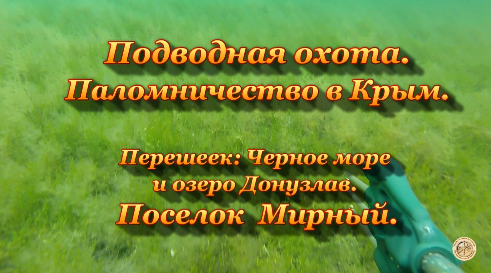 Крым. Подводный мир озера Донузлав - 2017г.