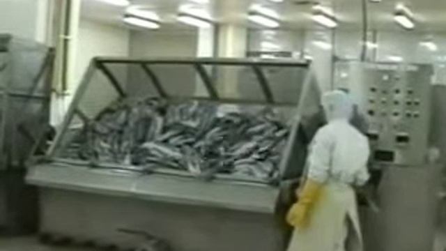 Водяной дефростер для разморозки рыбы и мяса. Быстрая дефростация от 1 часа