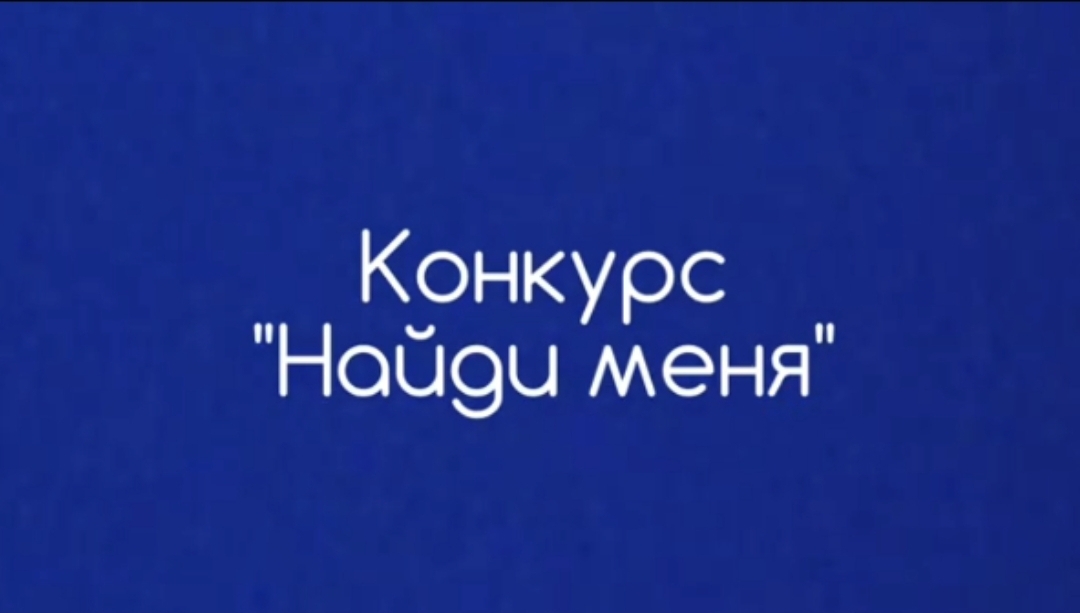 Шоу соревнования с собаками.
Конкурс "Найди меня"