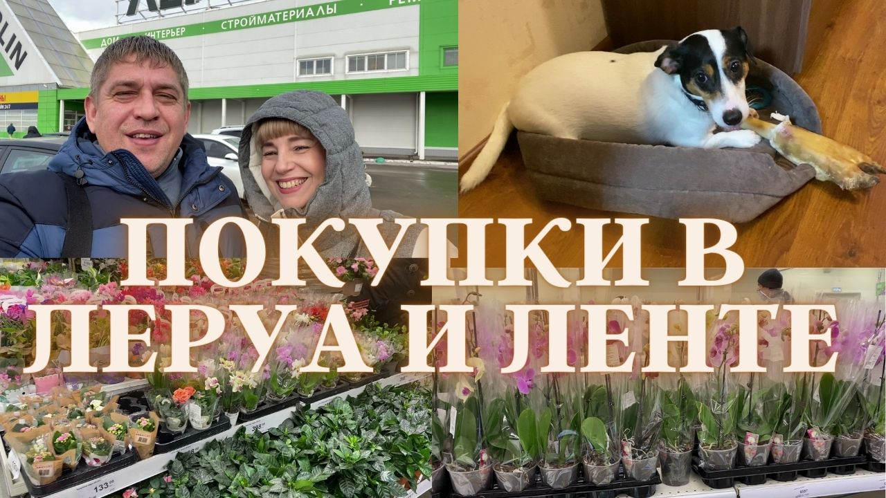 ПОКУПКИ В ЛЕРУА И ЛЕНТЕ