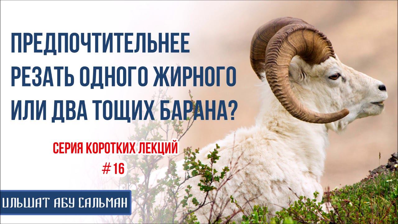 Ильшат Абу Сальман. Предпочтительнее резать одного жирного или два тощих барана?Лекции Курбан-Байрам