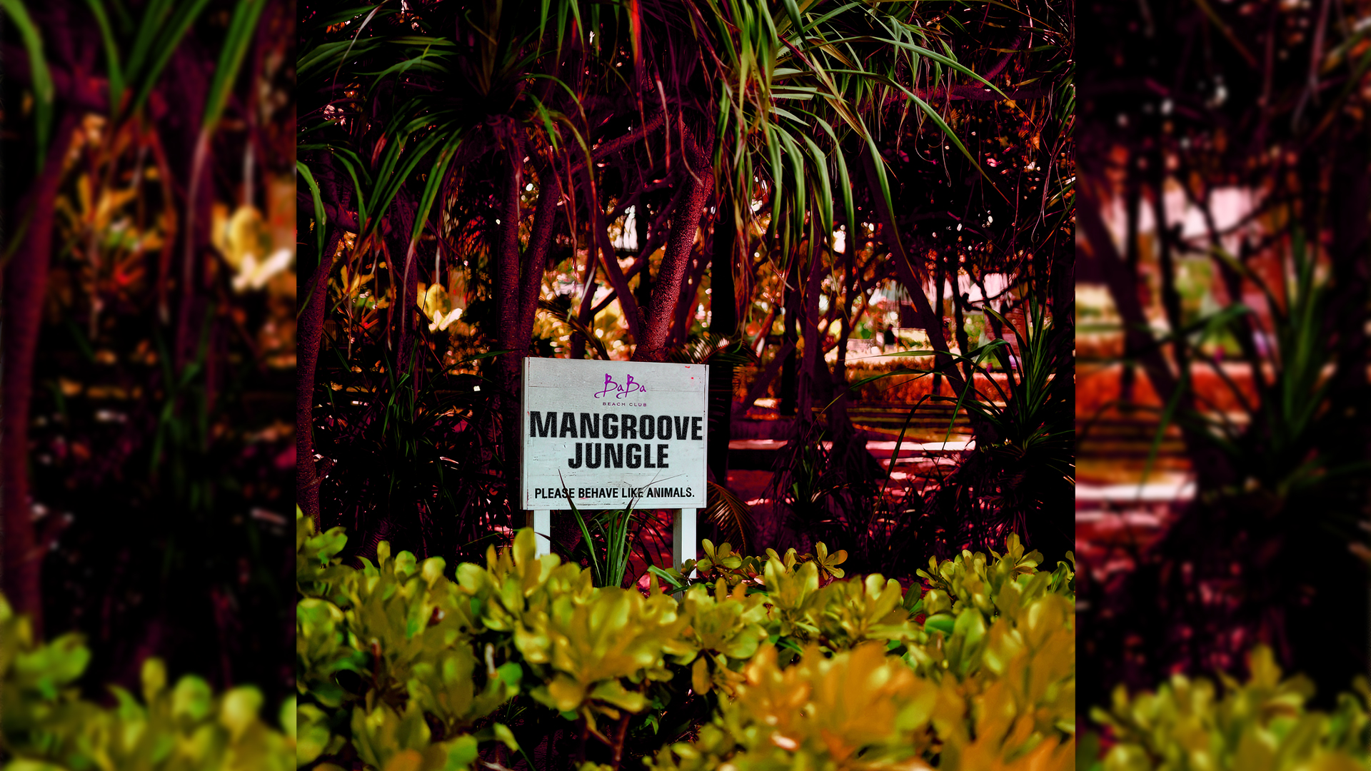 Oldschool jazzy jungle mix | Mangroove Jungle vol.1 #jungle