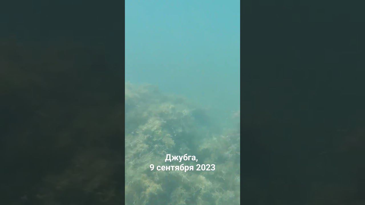 Джубга, 9 сентября 2023 г.