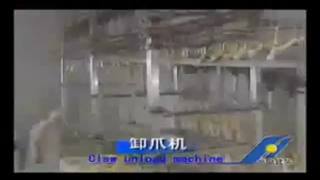 Линия убоя птицы