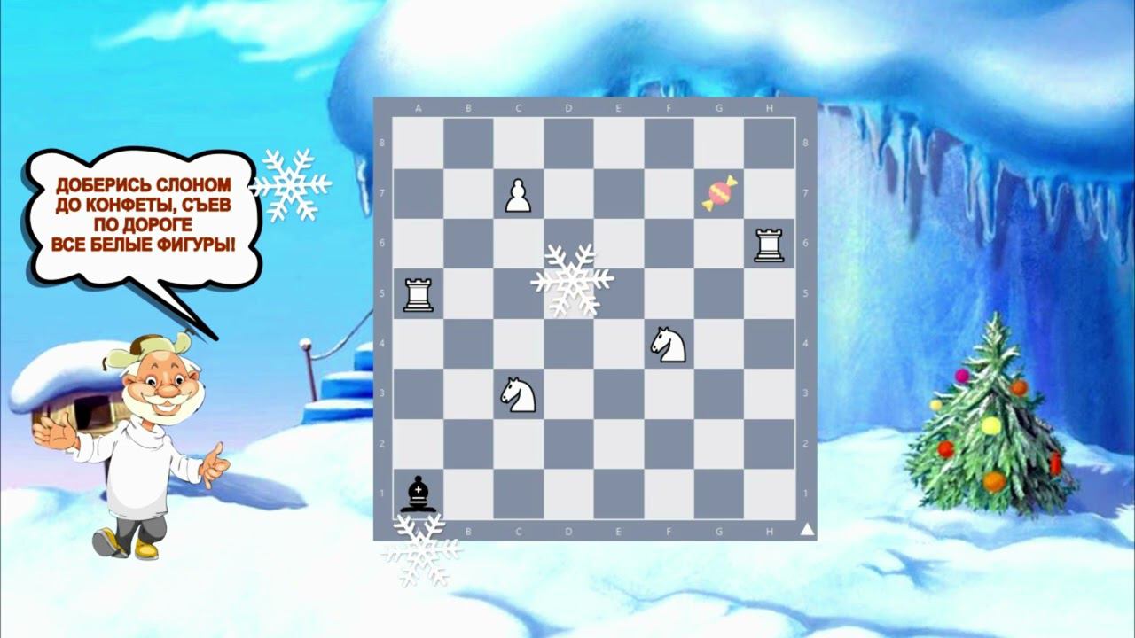 ДОБЕРИСЬ СЛОНОМ ДО КОНФЕТЫ. Тренер Арно.