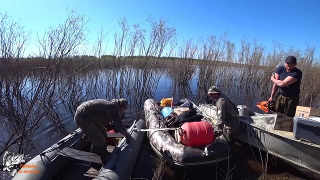 Начало стройки Таёжной избы. Приехал на помощь к Устаичу