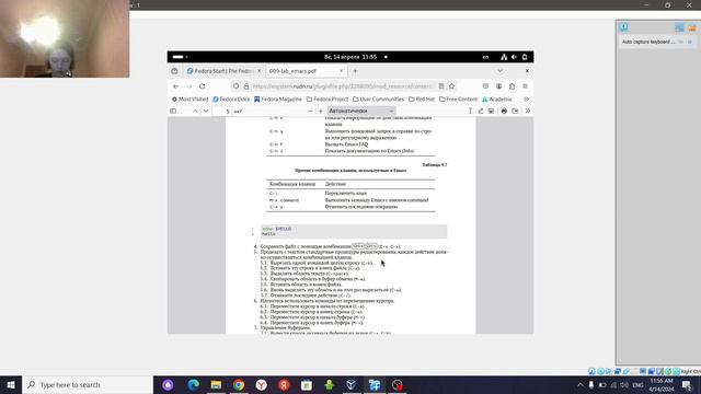 Лабораторная работа №11 отчет