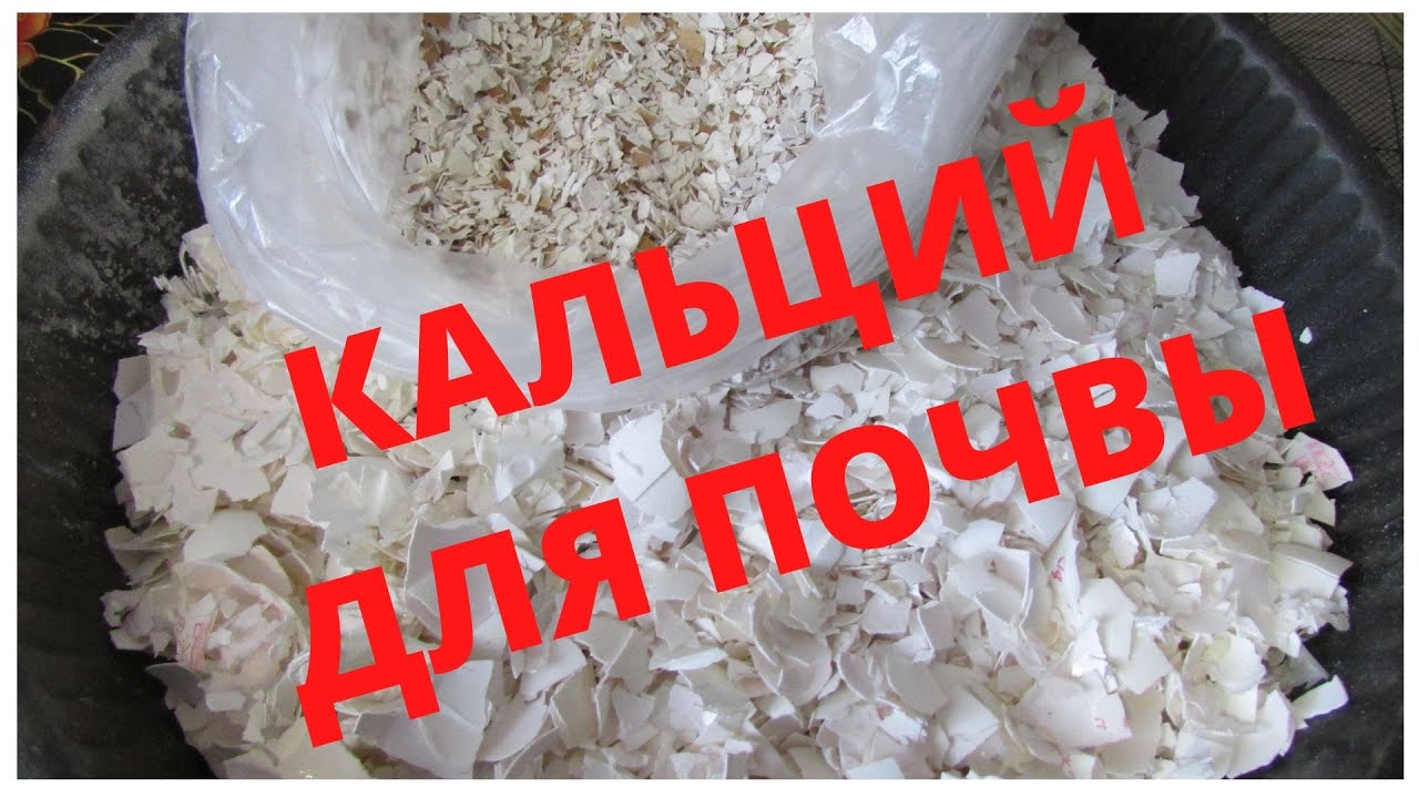 ГОТОВИМ КАЛЬЦИЙ ДЛЯ ТОМАТОВ И НЕ ТОЛЬКО!!!