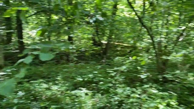 Канал Мощная четверка (М4)