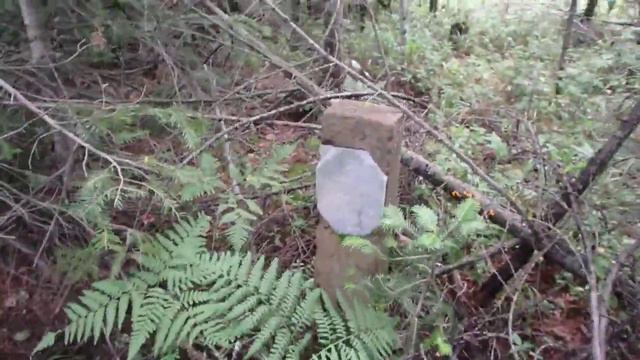 Ориентирование в прибрежной тайге Татарского пролива. Часть 4