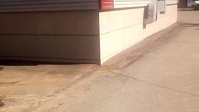 А сломалась ли машина? Экспертиза через 5 дней. Дело по разделу имущества