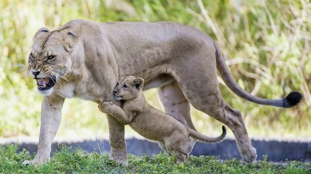 детская музыка веселая.mkv