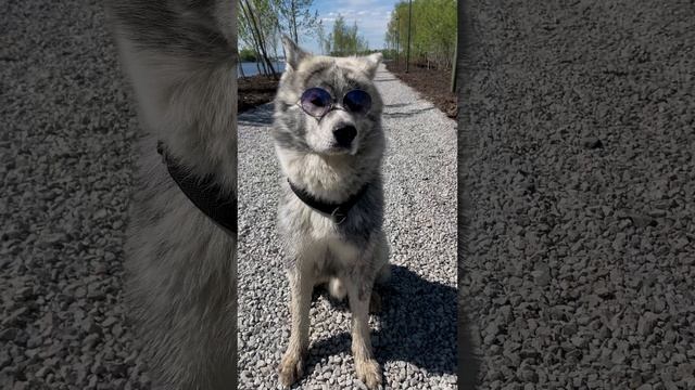 Солнце светит ярко