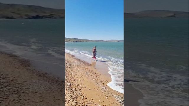 VID-20210909-WA0013_1.mp4