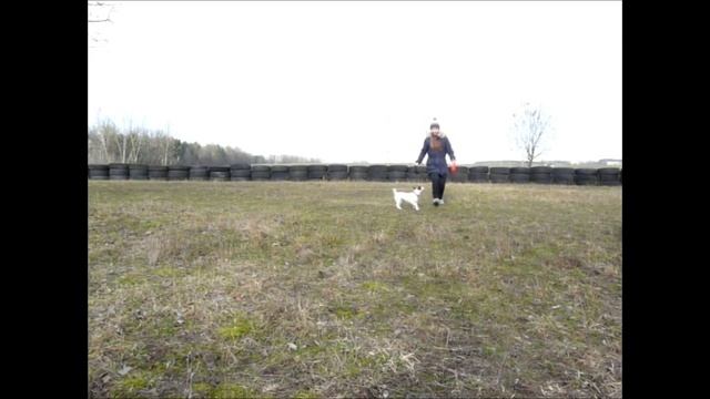 Фризби Фристайл 2016 Дарья и Грета.mp4