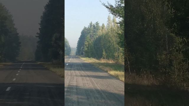 Чернобыльские дымы в приграничье Беларуси.