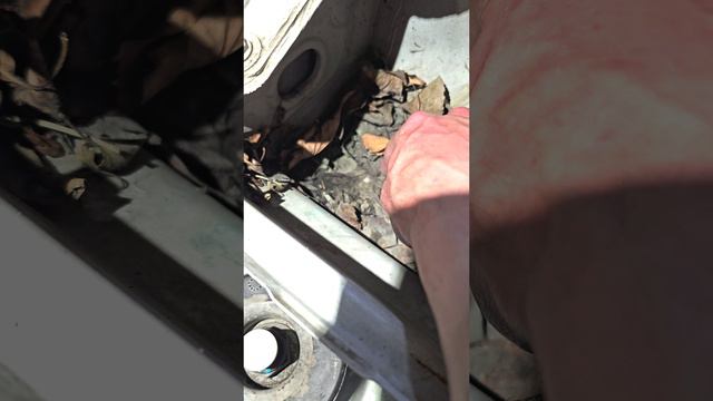 Устраняем проблему с листочками - Рено логан 2