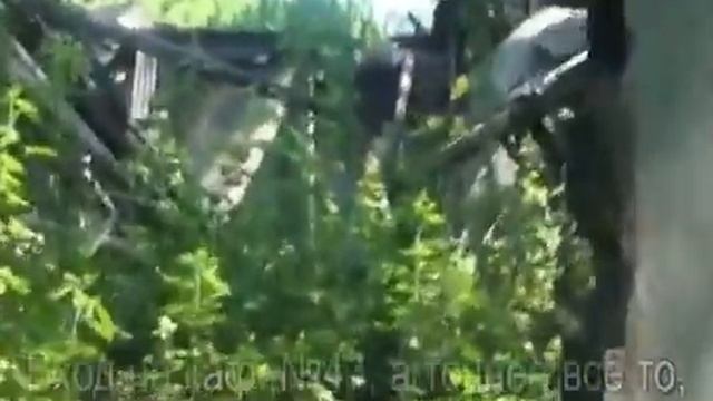 Реквием по Сокольникам.mp4