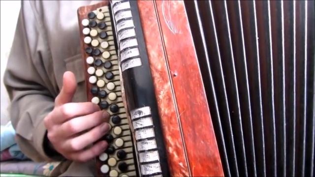 Страдания - я фату хочу носить, а не валенки - баян/вокал - Наташа П.mp4