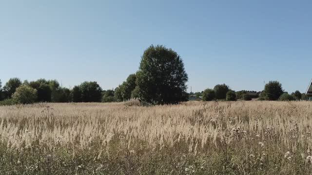 Обзор участка на продажу Щекино 25 соток ЛПХ межеван у леса Клин Подмосковье АэНБИ ру недвижимость