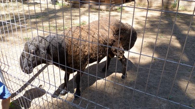 Велоэкскурсия в зоопитомник Червлёный яр