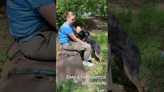 Витя - энергия и нежность в одном флаконе