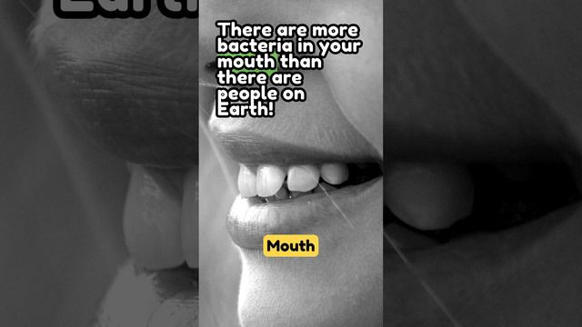 забавный факт
здоровье