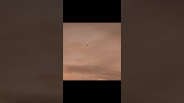 ПРЯМО НАД НАМИ ЛЕТАЕТ/НА РЫБАЛКЕ