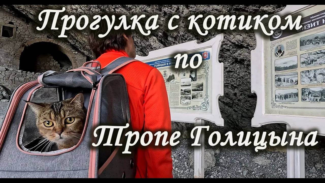Прогулка с котом по Тропе Голицына. Крым. Новый Свет.