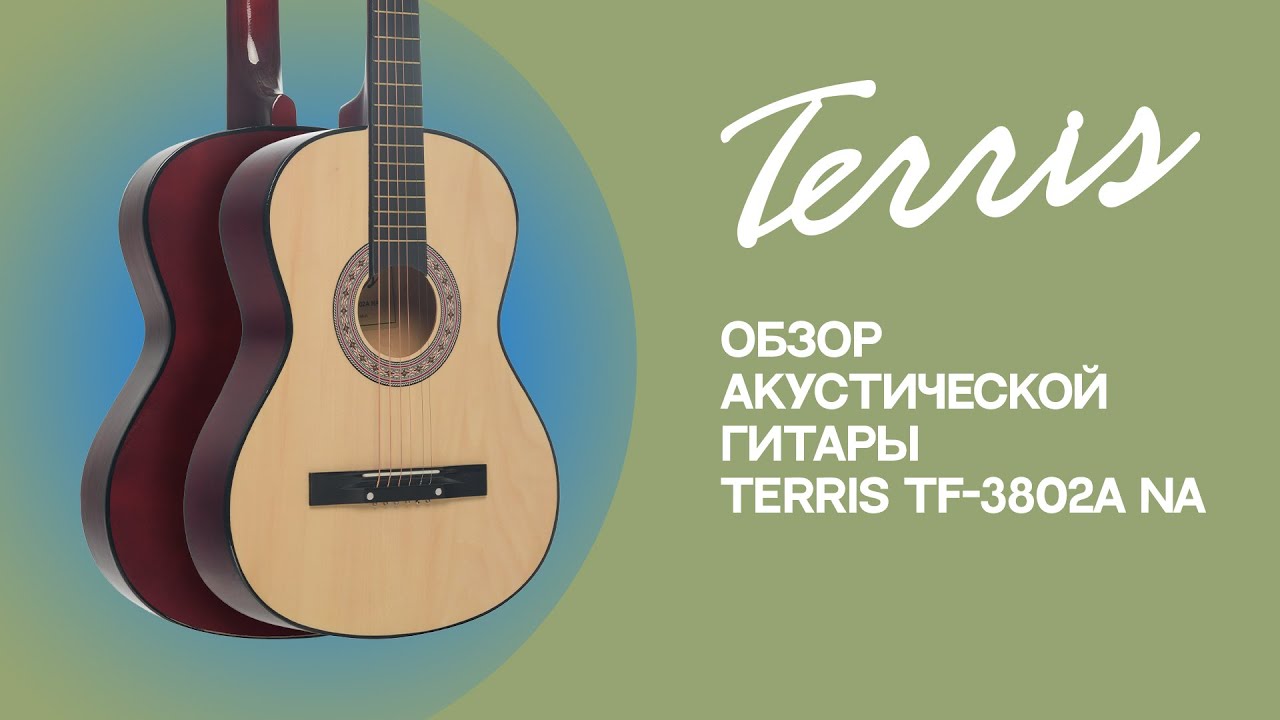 Обзор акустической гитары TERRIS TF-3802A NA