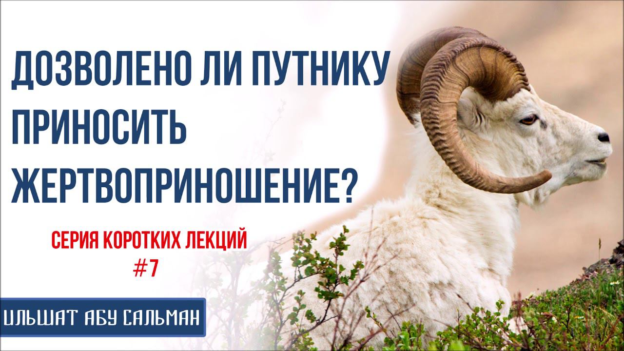 Ильшат Абу Сальман. Дозволено ли путнику приносить жертвоприношение? Серия лекций Курбан-Байрам