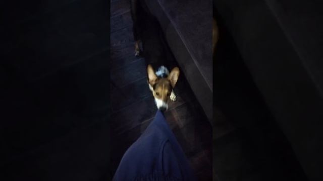 НАКА? МОЙ АНТИСТРЕС