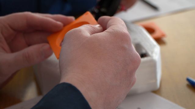 Краевая постерная сессия 2024