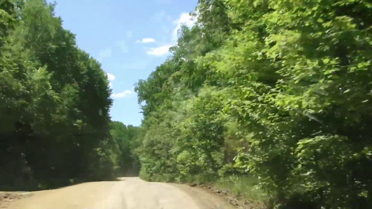 27 мая, Приморье. Грунтовая дорога через уссурийскую тайгу.