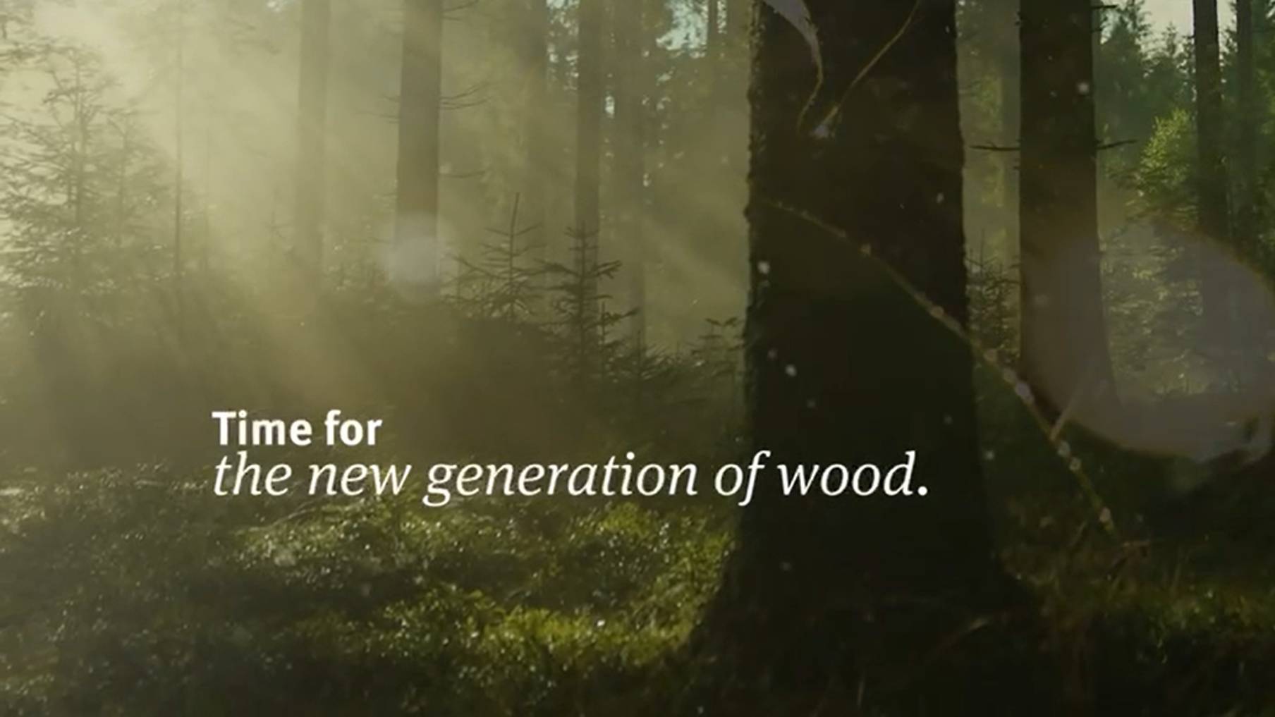 Новое поколение дерева