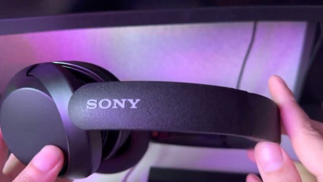 Sony WH-XB910n друзья для прогулок