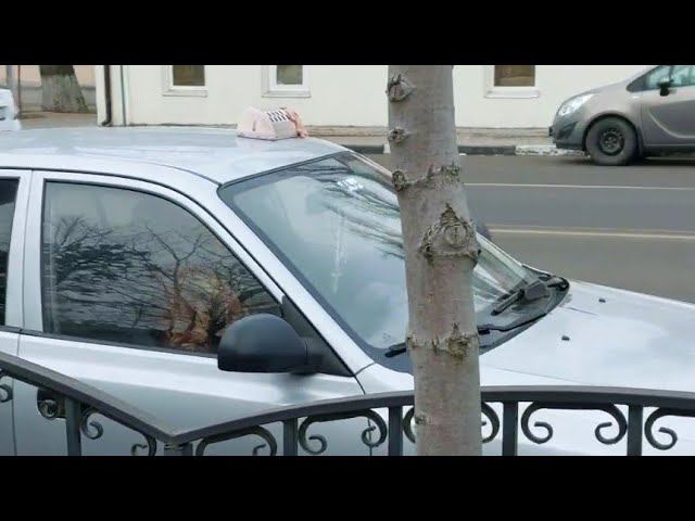 Шуганный бомбила.