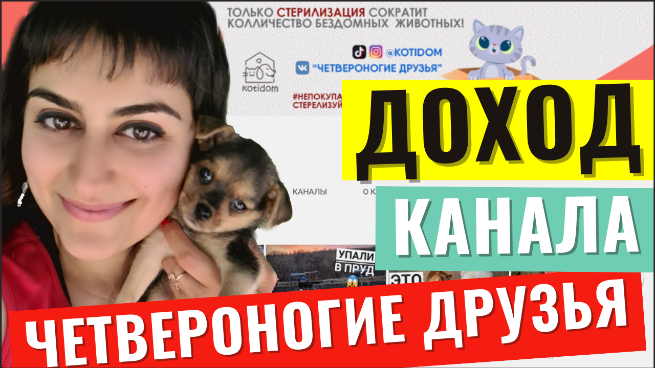 Канал Четвероногие Друзья Гаяна. Сколько зарабатывает на YouTube? Итоги за год.