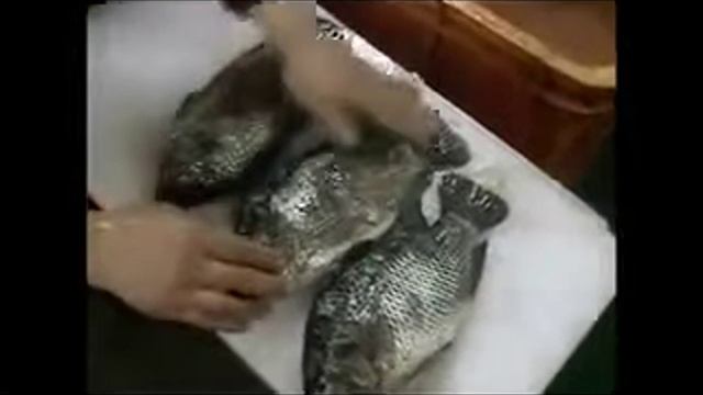 Машина для снятия чешуи большая автомат